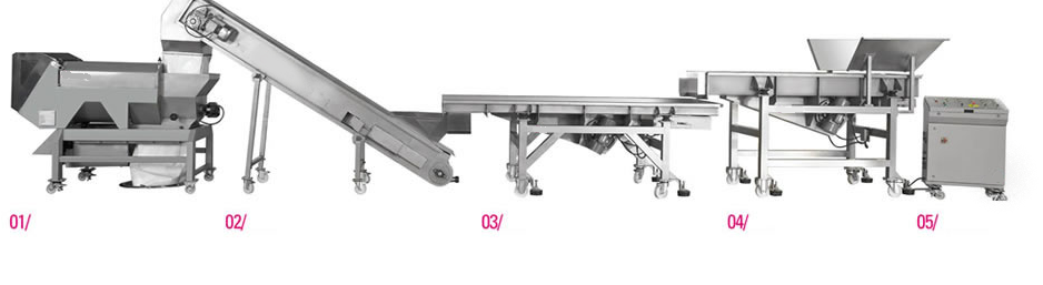 Linea selección de uva - Decavi